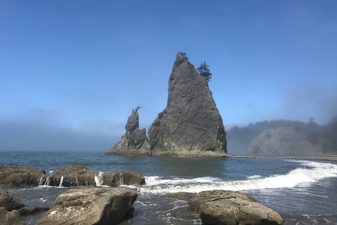 Private Day Hike- Rialto Beach Tide Pooling - Key Points
