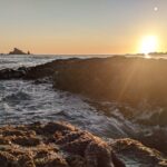 Private Day Hike- Rialto Beach Tide Pooling - Who Would Love This Tour?