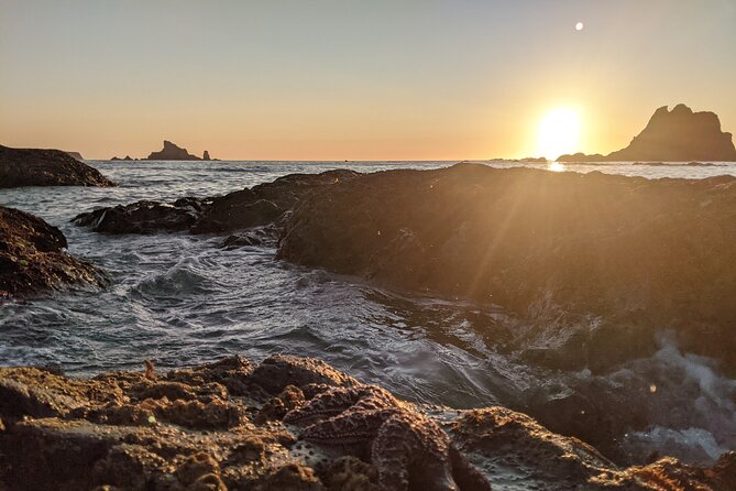 Private Day Hike- Rialto Beach Tide Pooling - Who Would Love This Tour?