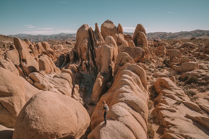 Private Day Tour to Joshua Tree National Park from San Diego - What’s Included & What’s Not