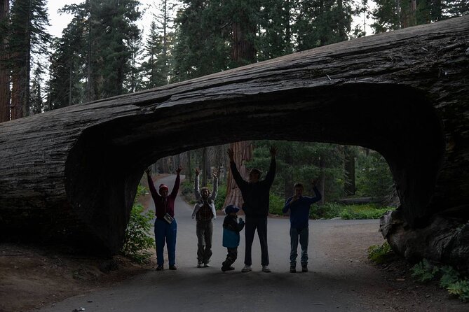 Private Day Tour to Sequoia and Kings Canyon Parks From LA - Exploring the Itinerary in Detail