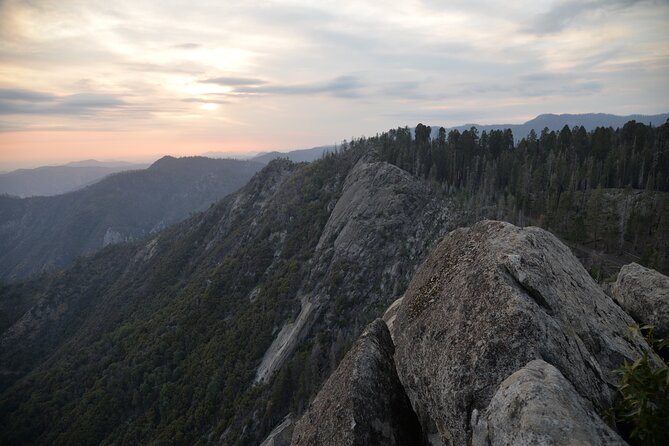 Private Day Tour to Sequoia and Kings Canyon Parks From LA - The Value of a Private, Customizable Tour