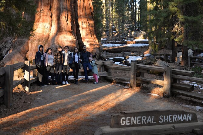 Private Day Tour to Sequoia and Kings Canyon Parks From LA - Who Will Love This Tour?