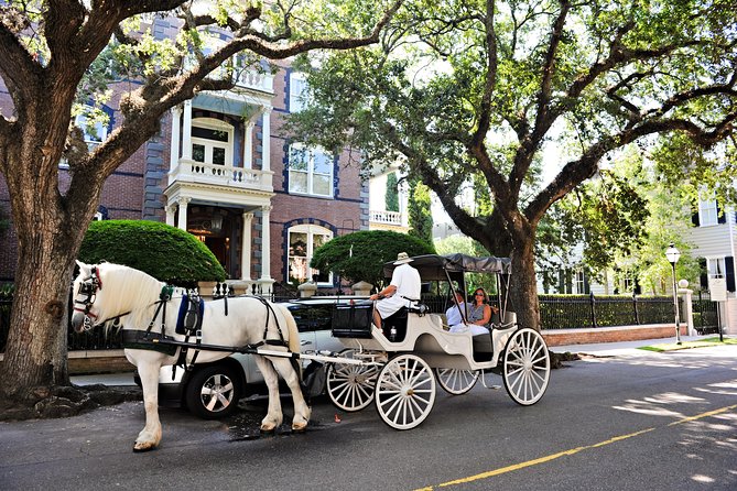 Private Daytime Horse-Drawn Carriage Tour of Charleston - Authentic Insights from Reviewers