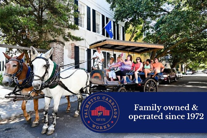 Private Daytime Horse-Drawn Carriage Tour of Charleston - The Experience: What Travelers Are Saying