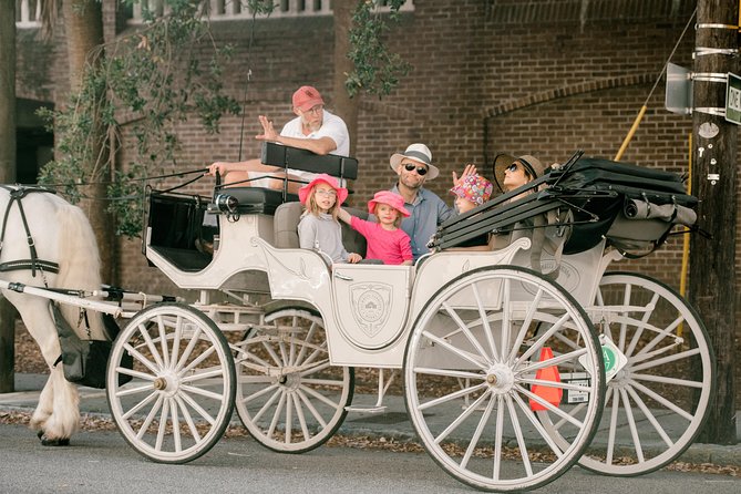 Private Daytime Horse-Drawn Carriage Tour of Charleston - Who Will Love This Tour?