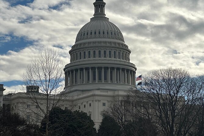 Private DC Tours in Luxury SUV - Key Points