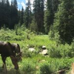 Private Denver International Airport Transfer to Vail or Beaver Creek - The Journey: What to Expect