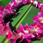 Private Departure Transfer: Big Island Hotels to Kona International Airport - The Vehicles and Comfort