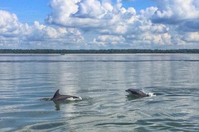 Private Disappearing Island Dolphin Tour - What Makes This Tour Special?