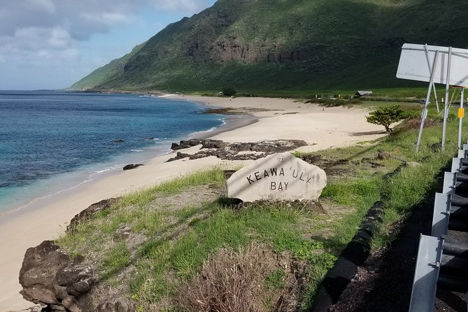 Private Dole,Garlic Shrimp,Haleiwa,North Shore Customizable tour - Who Should Book This Tour?