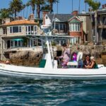 Private Dolphin and Whale Watching Tour in Newport Beach - What to Expect in Terms of Value and Experience