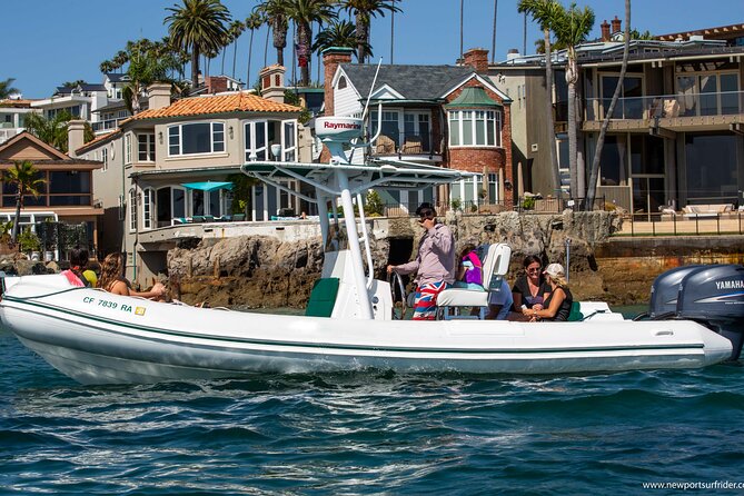 Private Dolphin and Whale Watching Tour in Newport Beach - What to Expect in Terms of Value and Experience