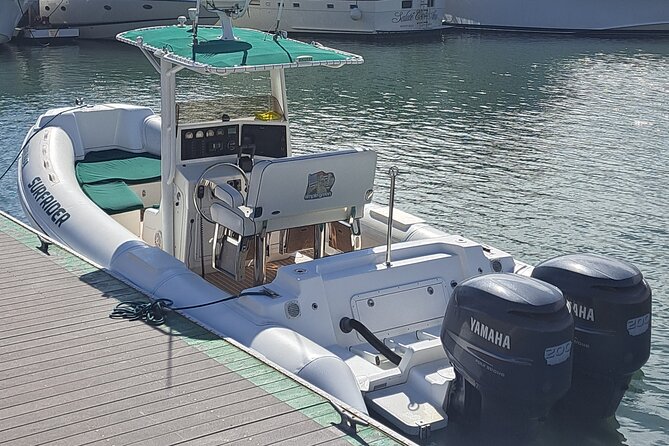Private Dolphin and Whale Watching Tour in Newport Beach - The Sum Up