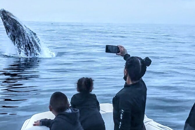 Private Dolphin and Whale Watching Tour in Newport Beach - FAQ