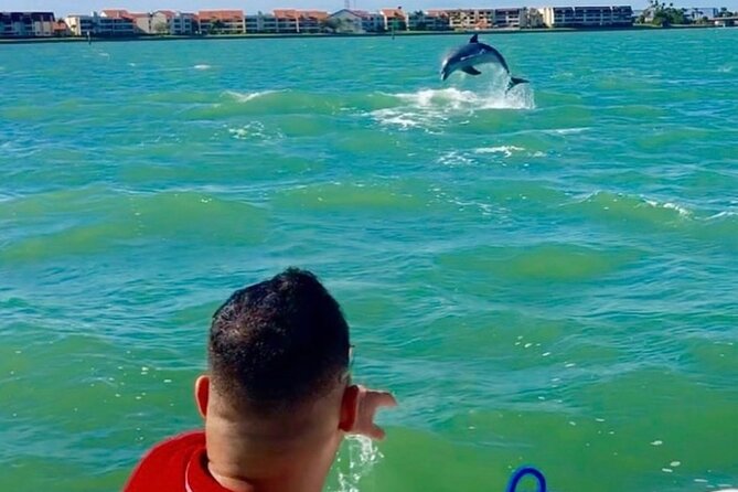 Private Dolphin & Architecture Tour in St. Petersburg, Fl - Final Verdict: Who Should Consider This Tour?
