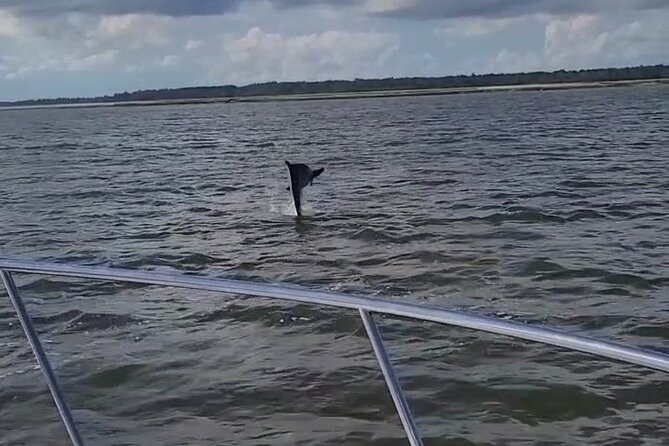 Private Dolphin Boat Tour in Hilton Head Island - What to Expect During Your Dolphin Sighting Experience