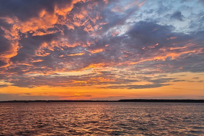 Private Dolphin Boat Tour in Hilton Head Island - Why This Tour Is a Great Value