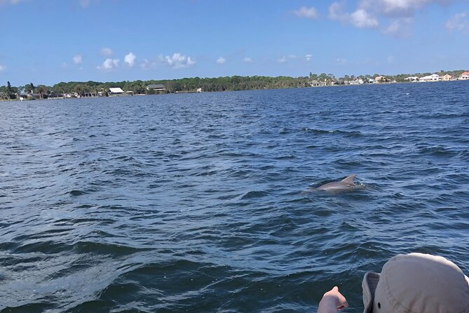 Private Dolphin Catamaran Sail In Cocoa Beach - Final Summary