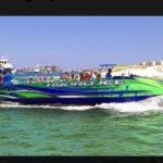 Private Dolphin Cruise in Destin holds 29 people - Exploring the Itinerary: What Makes This Tour Special