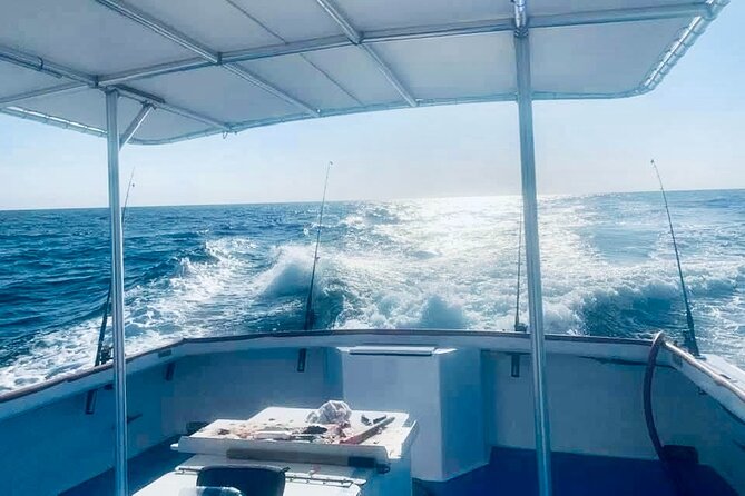 Private Dolphin Cruise in Panama City Beach - An In-Depth Look at the Private Dolphin Cruise Experience