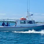 Private Dolphin Cruise in Panama City Beach - Pricing and Value Analysis