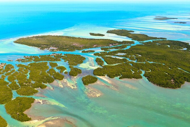 Private Dolphin Playground Safari - What to Expect from the Dolphin Playground Safari