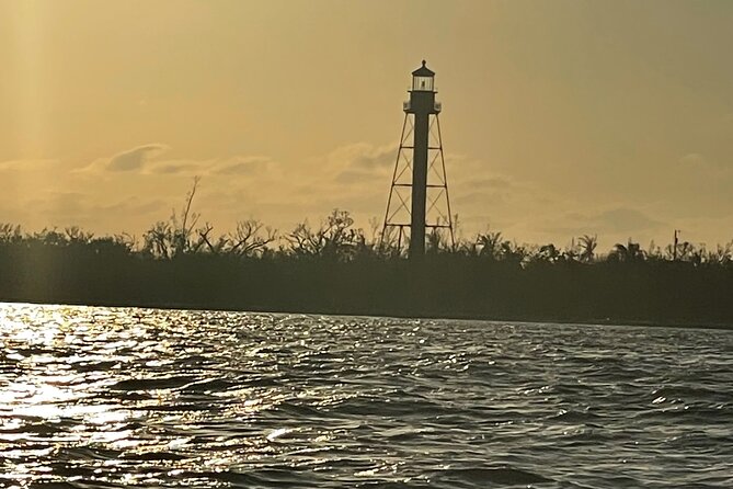Private Dolphin & Sightseeing Boat Day Tour - An In-Depth Look at the Tour Experience