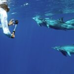 Private Dolphin Swim with Slide for up to 15 Passengers - Final Thoughts: Is It Worth It?