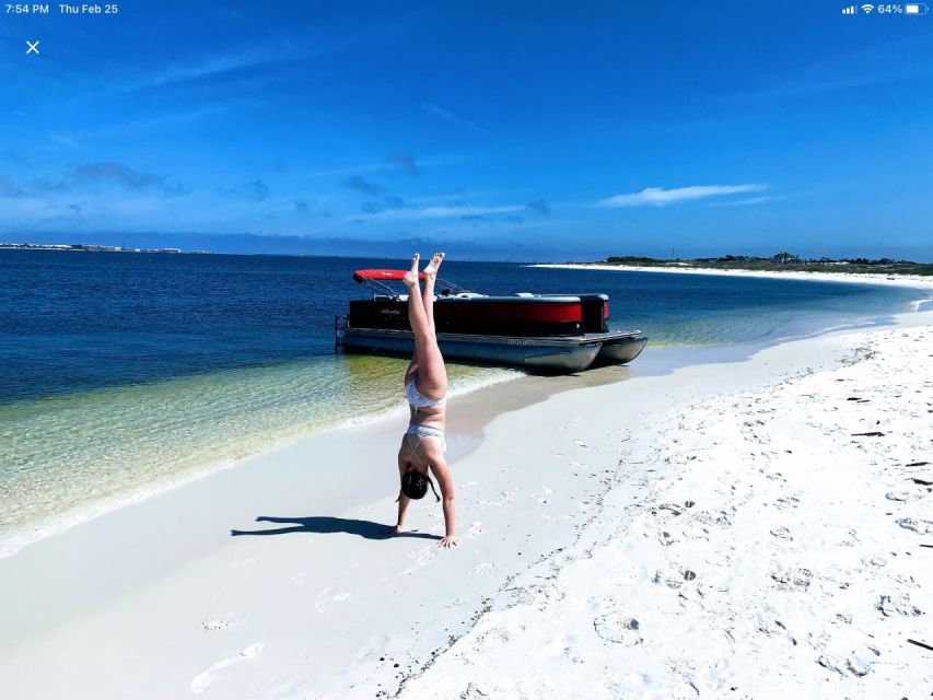 Private Dolphin Tour with Secluded Beach/Snorkel Stop - Pricing and Value