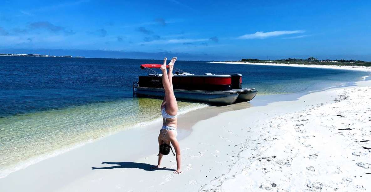 Private Dolphin Tour with Secluded Beach/Snorkel Stop - The Sum Up