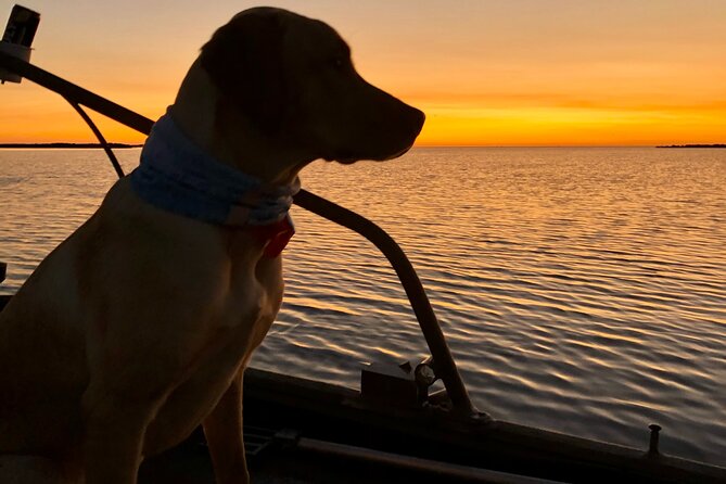 Private Dolphin Watch and Sunset Boat Tour Port Aransas Texas - Authentic Guest Experiences
