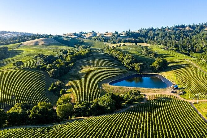 Private Enchanted Napa & Sonoma Wine tour from San Jose - In-Depth Breakdown of the Itinerary