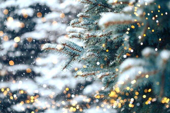 Private Enchanting Nashville Christmas Lights Tour - Transport and Comfort