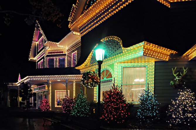 Private Enchanting Nashville Christmas Lights Tour - Who Should Consider This Tour?