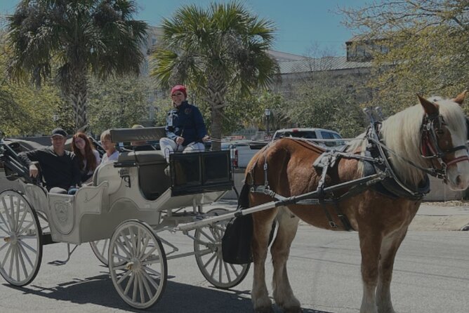 Private Evening Carriage Tour Charleston - Palmetto Carriage - Why You’ll Love the Private Horse-Drawn Carriage Tour