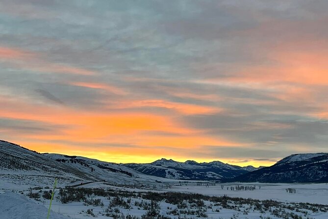Private Evening/Sunset Wildlife Encounter Tour - An In-Depth Look at the Yellowstone Sunset Wildlife Tour