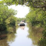 Private Everglades Airboat Tour including hotel pick up and Everglades specialist - Final Thoughts