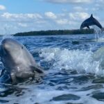 Private Everglades National Park Photography, Birding and Wildlife Safari - Who Will Benefit Most from This Tour?