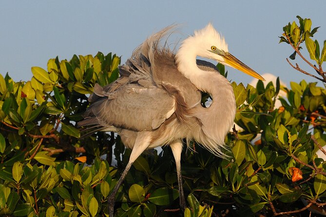 Private Everglades National Park Photography, Birding and Wildlife Safari - Final Thoughts