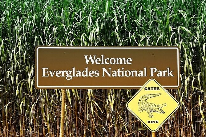 Private Everglades Tour: Explore the Beauty of the Everglades - FAQ