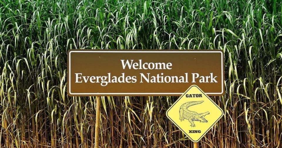 Private Everglades Tour:Explore the Beauty of the Everglades - What’s Included and Why It Matters