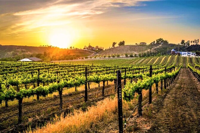 Private Excursion from Orange County Including Lunch + Tastings - Key Points  