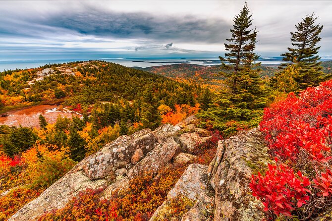 Private Exploration Tour of the Top Spots of Acadia - Practical Details That Count