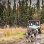 Private Fall Foliage Mushing Cart Ride in Fairbanks - Value and Price Analysis