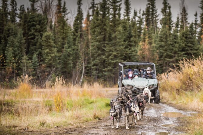 Private Fall Foliage Mushing Cart Ride in Fairbanks - Value and Price Analysis