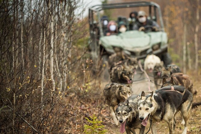 Private Fall Foliage Mushing Cart Ride in Fairbanks - FAQ