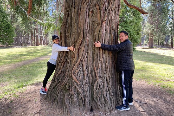 Private Family Photo Day in Yosemite - Who Will Love This Tour?