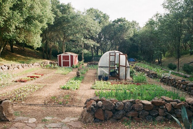 Private Farm Workshop in Napa Valley - Who Will Enjoy This Tour?