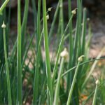 Private Farm Workshop in Napa Valley - The Sum Up